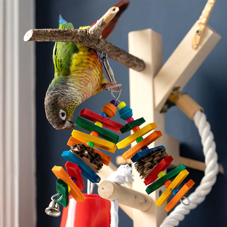 BirdieBoxx