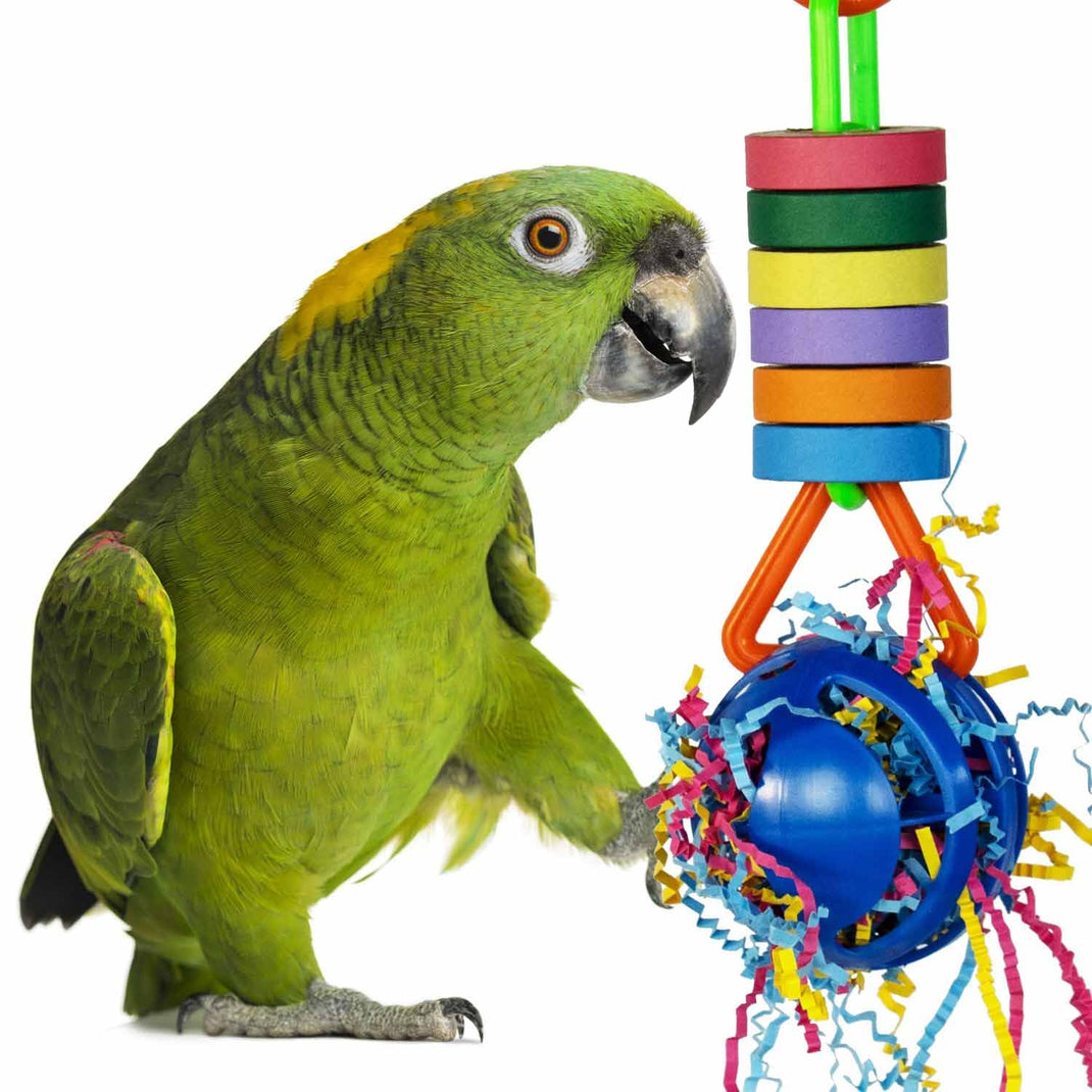 BirdieBoxx