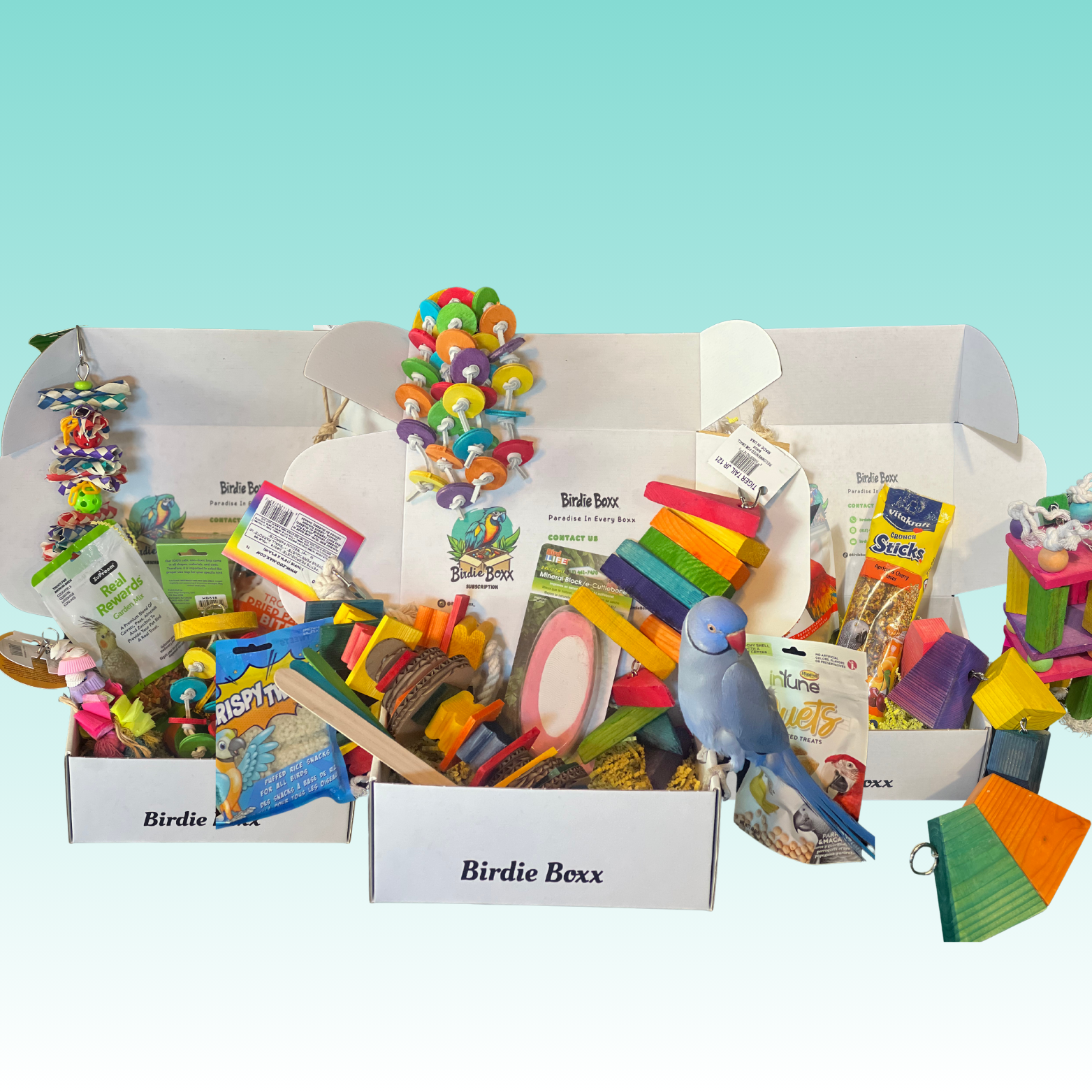 BirdieBoxx