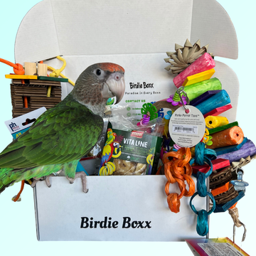 BirdieBoxx